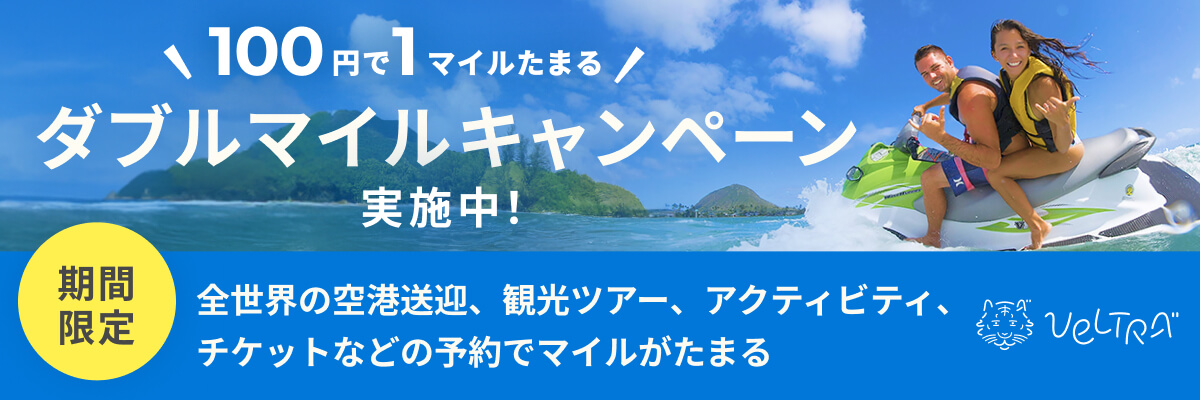 Activity Search - Powered by Veltra